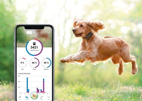 Tractive GPS DOG Ловен - MaveShop