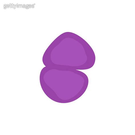 Streptococcus Pneumoniae Bacteria Cell Medical Diagram Icon 1436412956 게티이미지뱅크