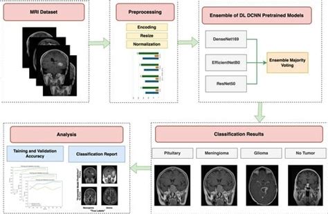 an efficient ensemble approach for brain tumors classification using