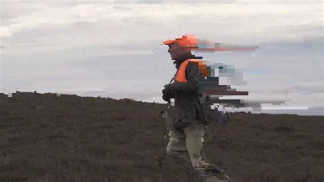 Top 6 ფრინველზე მონადირე ძაღლი Youtube