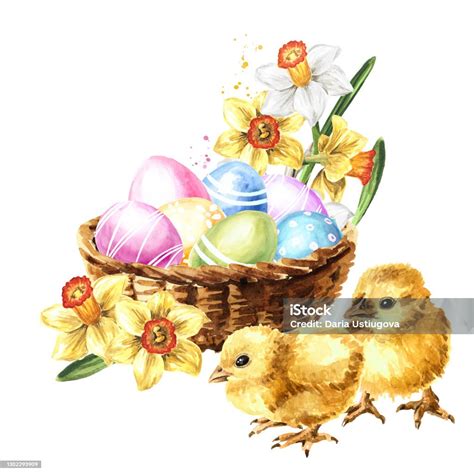 해피 부활절 카드 봄 꽃 색깔의 계란과 노란색 귀여운 병아리바구니 흰색 배경에 고립 된 손으로 그린 수채화 그림 개념에 대한 스톡 벡터 아트 및 기타 이미지 Istock