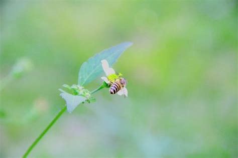 Sap Mm零基础学习 第一篇 模块简介 知乎