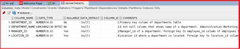 Boolean Parameters In Oracle Stored Procedure Dot Net Tutorials