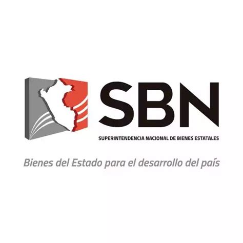 Sbn 09 Profesionales Especialistas Analistas