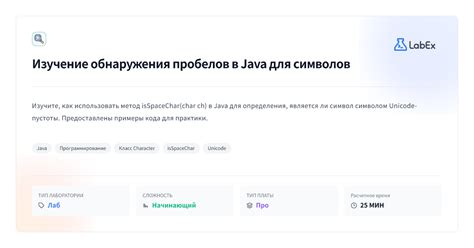 Программирование на Java Класс Character Идентификация символов пробела Labex