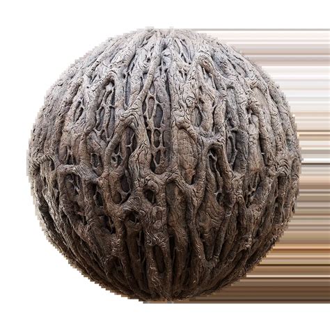 fig tree bark pbr texture