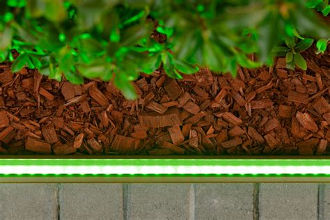 Edglit — Solutions For Licensing And Manufacturers