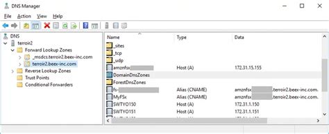Sap S4hanaでamazon Fsxを使ったwindowsクラスター構成（wsfc）を試してみた｜基幹システムのクラウド移行・構築