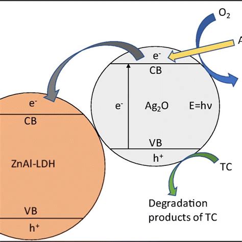 Schematic Representation Of Layered Double Hydroxide Ldh Download