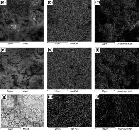 Secondary Electron Micrographs Together With X Ray Chemical Mapping Of