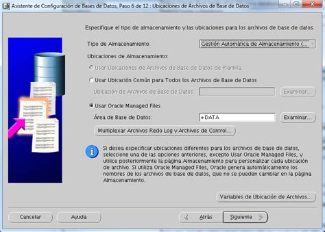 Ayuda Para Tus Sistemas Instalación Oracle Rac 11g Asm
