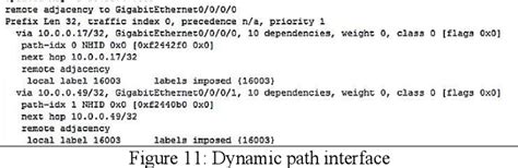 figure 11 from implementation of segment routing traffic engineering