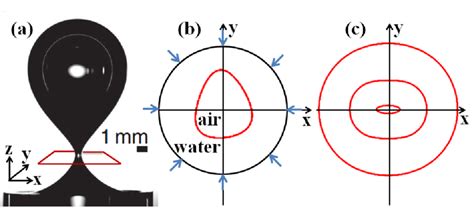 Bubble Breakup Dynamics A Experiment An Underwater Air Bubble Dark Download Scientific