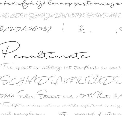 Shopping Script Demo Font Download Free For Desktop And Webfont Shopping Script Demo Font Download Free For Desktop And Webfont