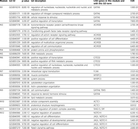 Enriched Go Terms In Each Module Download Table