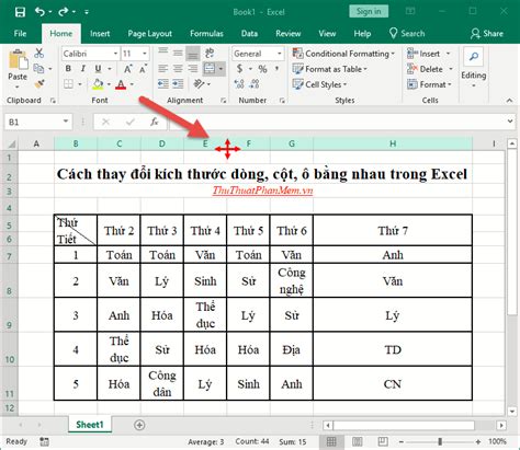 How To Change The Size Of Rows Columns Cells Equally In