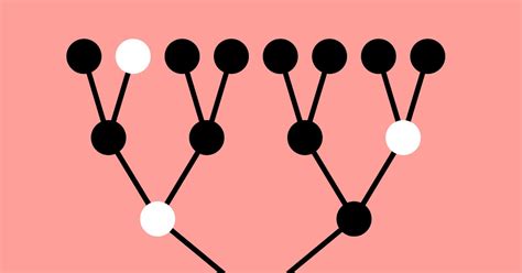 algorithms are not what you smartypants think they are wired