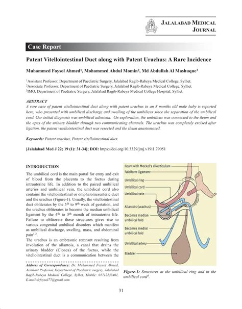 Pdf Patent Vitellointestinal Duct Along With Patent Urachus A Rare Incidence
