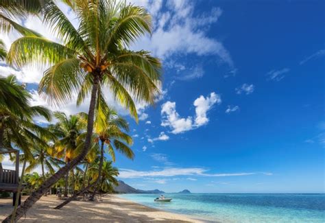 A Comprehensive Guide For Exploring Mauritius In February 2026