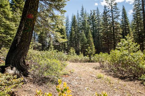 Camping At Lake Tahoe California Best Lake Tahoe Campgrounds 2026