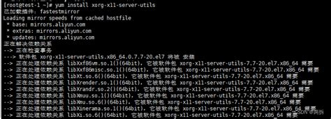 Xhost打开图形化界面遇到的问题 Csdn博客