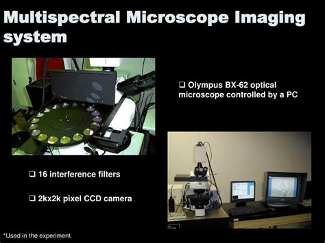 PPT A Multispectral Image Enhancement Approach To Visualize Tissue Structures PowerPoint