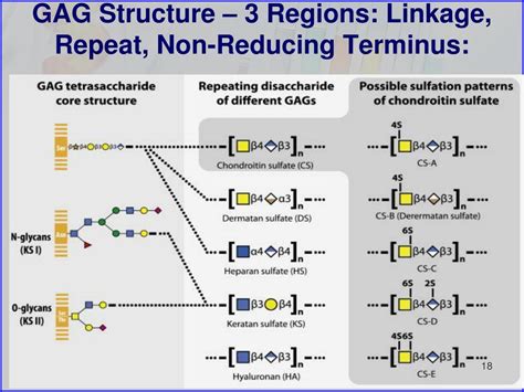 Ppt Techniques In Glycobiology Powerpoint Presentation Free