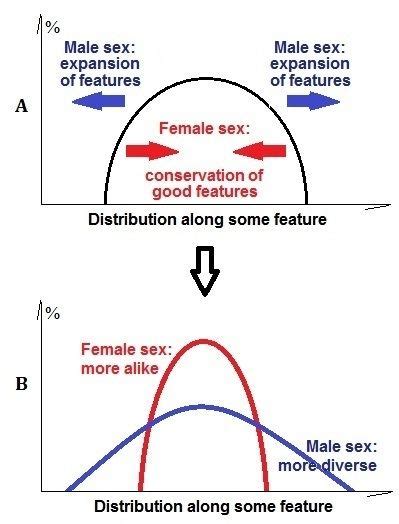 Geodakyan S Evolutionary Theory Of Sex Alchetron The Free Social Encyclopedia