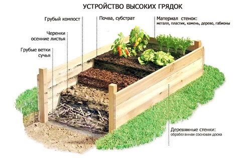 Как сделать высокие грядки на даче своими руками: фото и видео