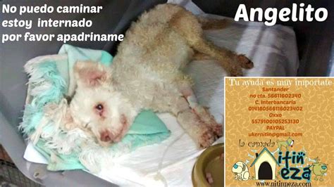 Aaron Negrete Taurinbull Twitter