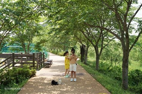 김해 화포천습지 생태공원 박물관 뜨락카페에서 체험까지 네이버 블로그