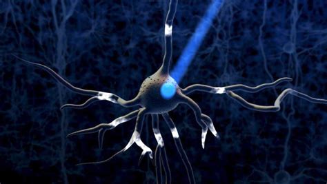 Optogenetics Light As Method For Brain Cell Remote Control