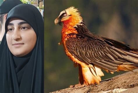 بالاترین هرچقدر همای سعادت واسه ما شگون داشت این کلاغ شقاوت واسه عربا