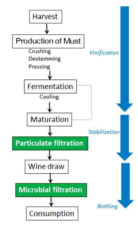 Filtration Of Wine Process At Bonnie Zamora Blog