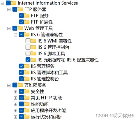 windows环境（本地端以及华为云服务器）搭建服务器 本地服务器 csdn博客