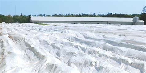 Frost Protection Gintec Shade Technologies