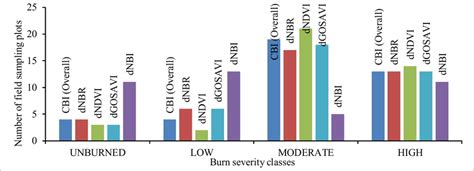 Comparison Of Different Burn Severity Classes Determined By Cbi And Download Scientific Diagram
