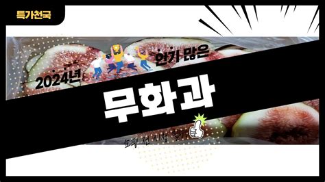 무화과 사기 전에 이 영상 먼저 보세요 2024년 인기 많은 무화과 추천 Top10 구매후기 판매량 가격이 모두 반영된 최신 순위 Youtube