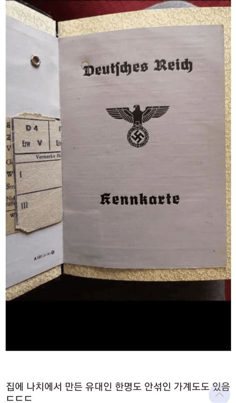 순수 아리아인 독일인 여자친구  유머 움짤 이슈 에펨코리아