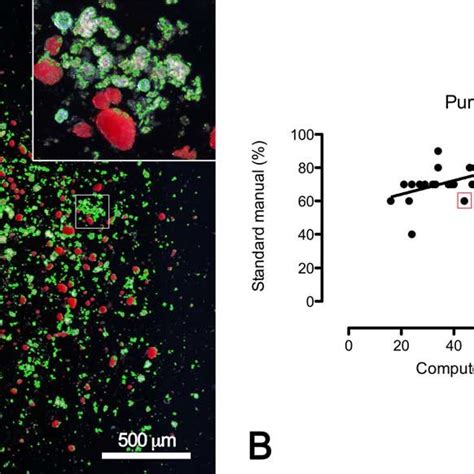 Purity Assessment Standard Method Versus The Automated Method In A Download Scientific