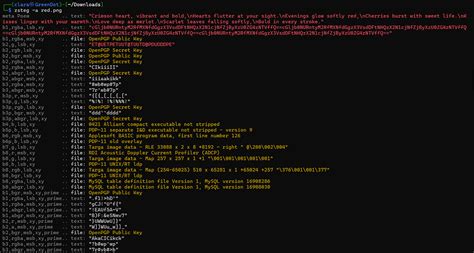 ctf writeup picoctf 2025 ssti1 by oofman69 medium