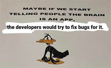 But Who Are The Developers R ProgrammerHumor