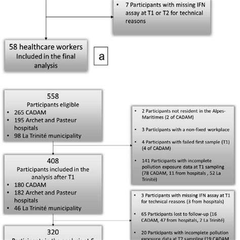 Flowchart Of Participants For The Pilot Cohort A And The