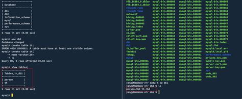 『深夜mysql』详解数据库 Andand 探索数据库是如何存储的 Csdn博客