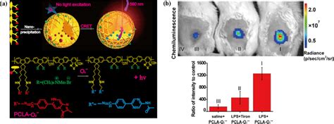 A Preparation Of Pcla O2 − Nanoparticles Using Cationic Polyfluorene Download Scientific