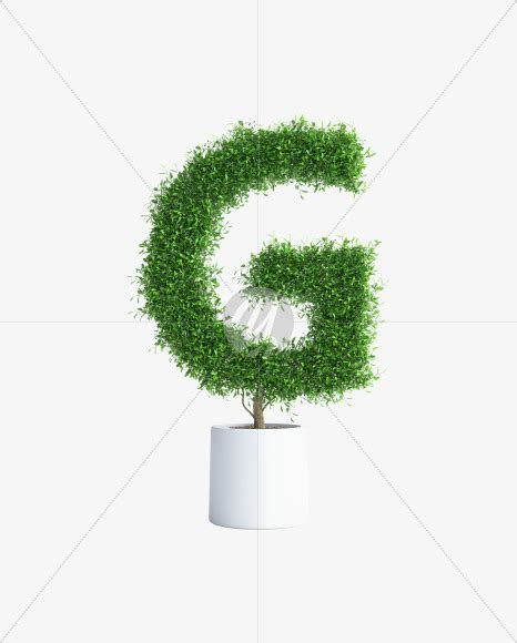 Tree G From Green Tree Alphabet Letter On Yellow Images Creative Fonts S