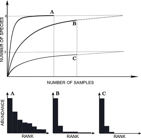 Illustration Of The Species Accumulation Curves For Three Download Scientific Diagram