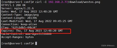 Nginx的限流、配置管理及重定向nginx 禁止重定向 Csdn博客 Nginx的限流、配置管理及重定向nginx 禁止重定向 Csdn博客
