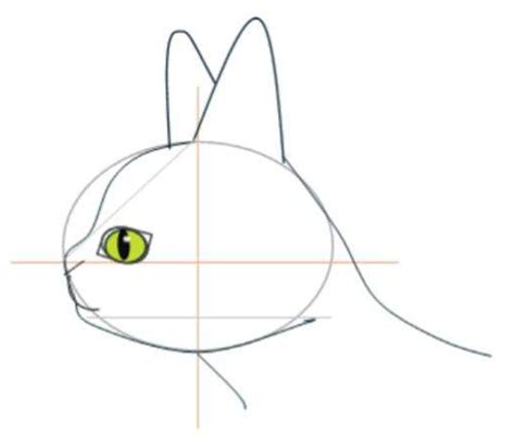 How To Draw A Realistic Cat Step By Step