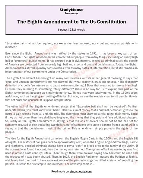 The Eighth Amendment To The Us Constitution Free Essay Example